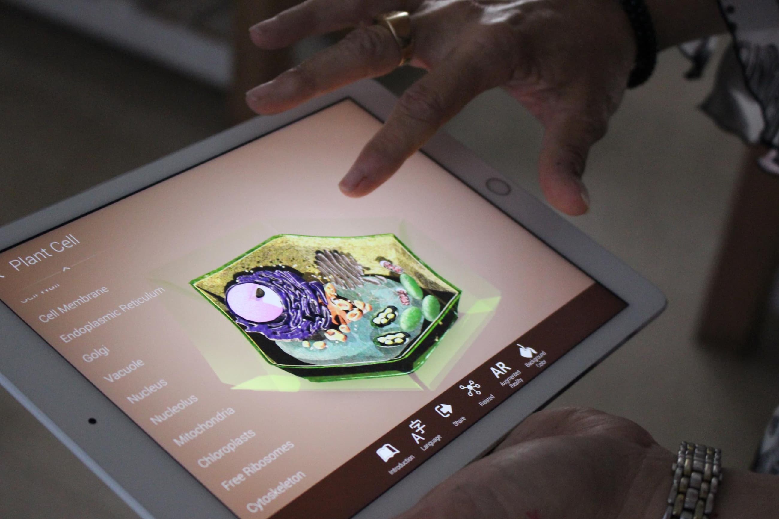 Study from Charles University: Corinth app improves motivation and performa
