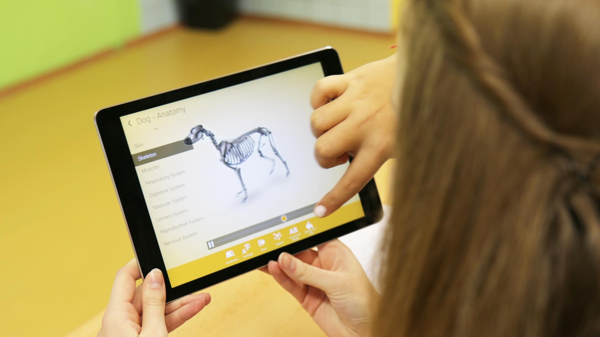 Educational app and visual learning tool | Corinth