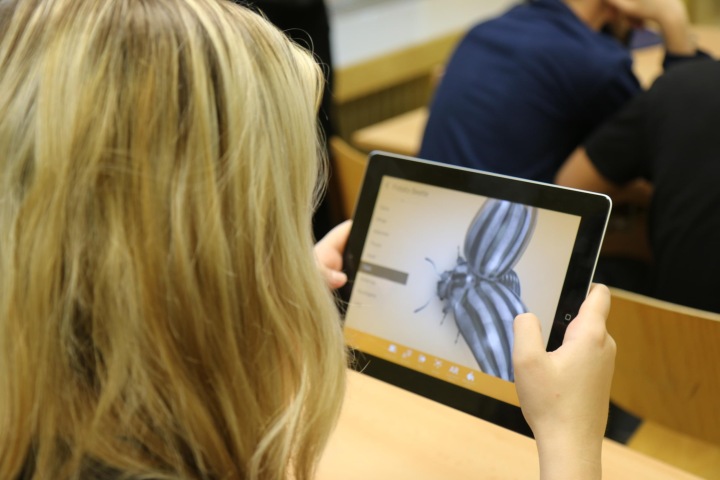 Educational app and visual learning tool | Corinth