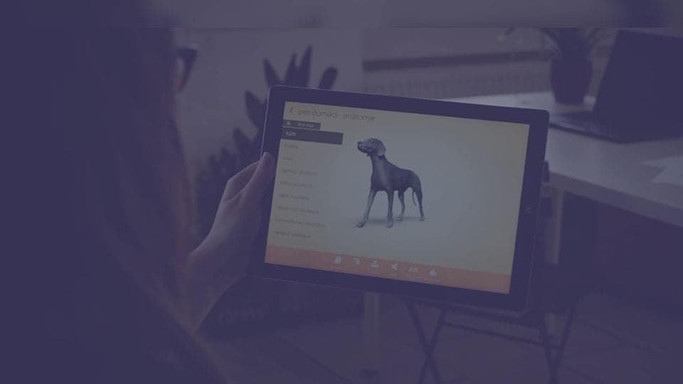 Educational app and visual learning tool | Corinth